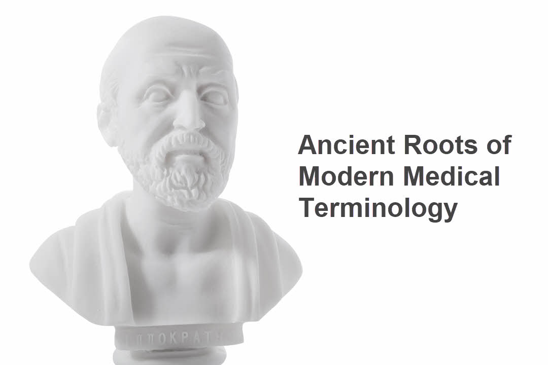 Ancient Roots of Modern Medical Terminology